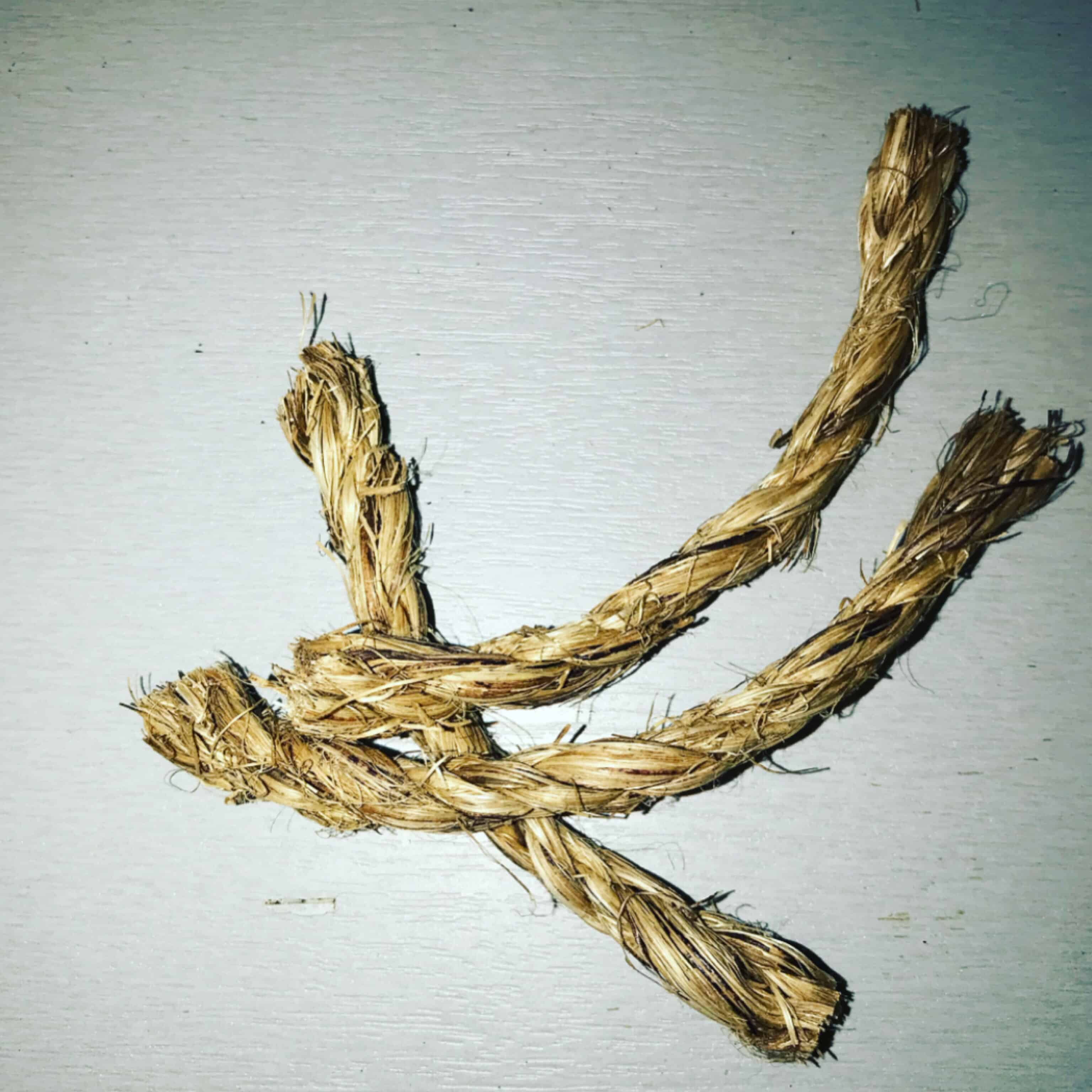 Learn how to make this DIY Firecracker for less than $5.