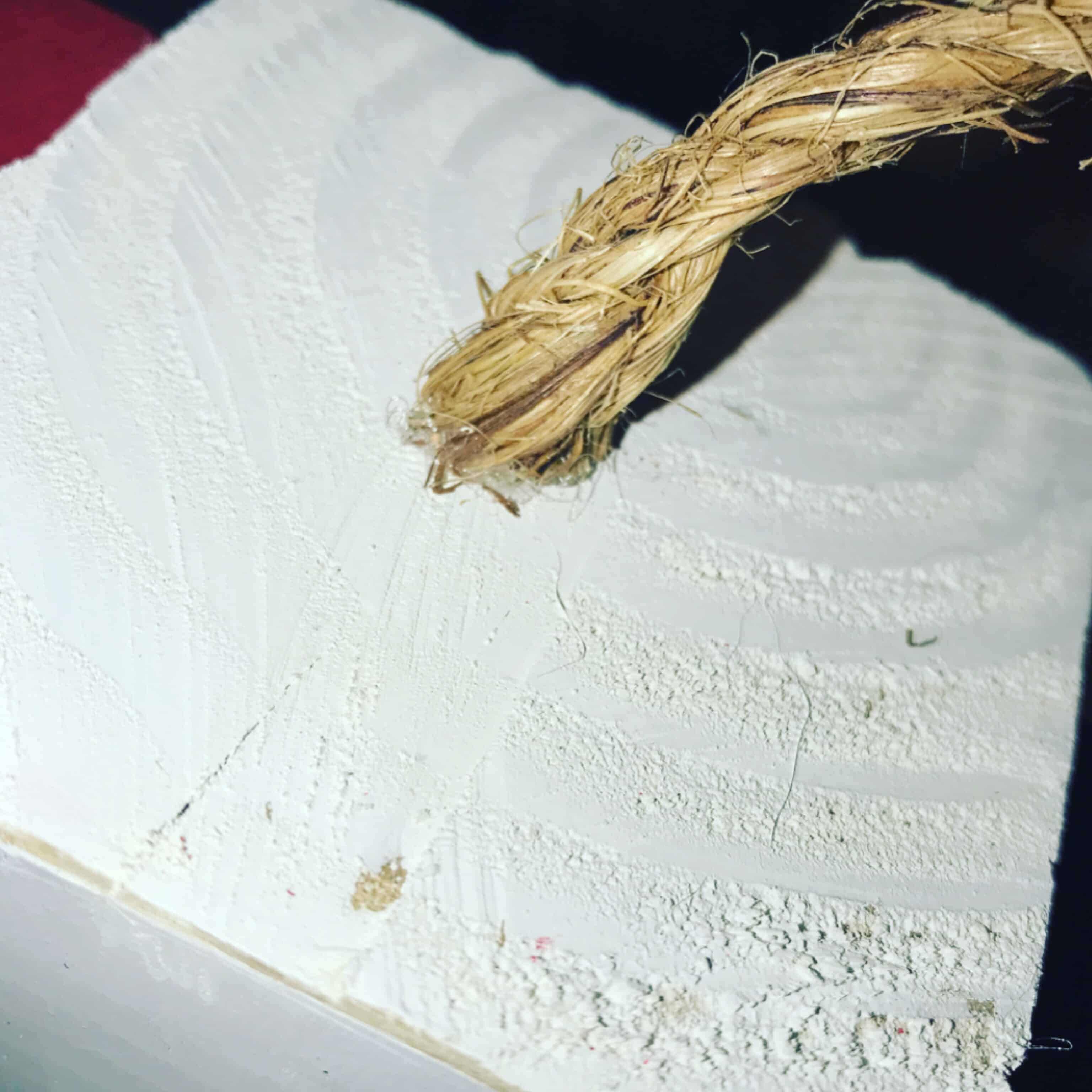 Learn how to make this DIY Firecracker for less than $5.