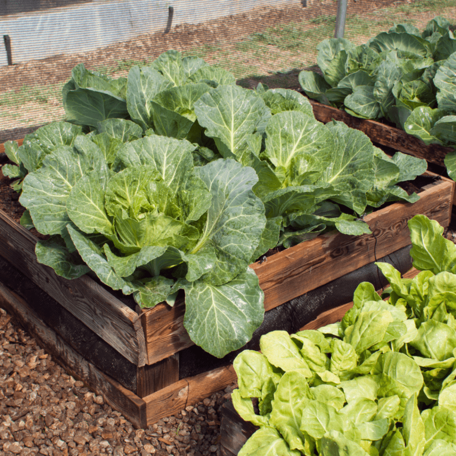 13 Genius Pallet Plant Stand Ideas That You Can Easily Make.