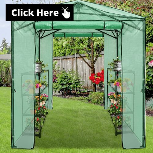 The VERY Best Small Greenhouse Options For All Year Round.